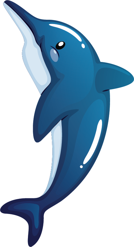 flashcard-animal-Dolphin - Mommy & Me Station