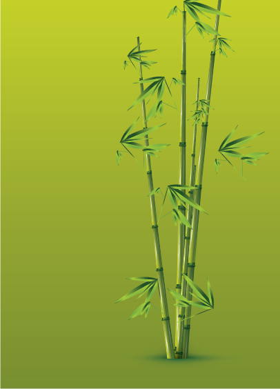 flashcard-food-Bamboo - Mommy & Me Station