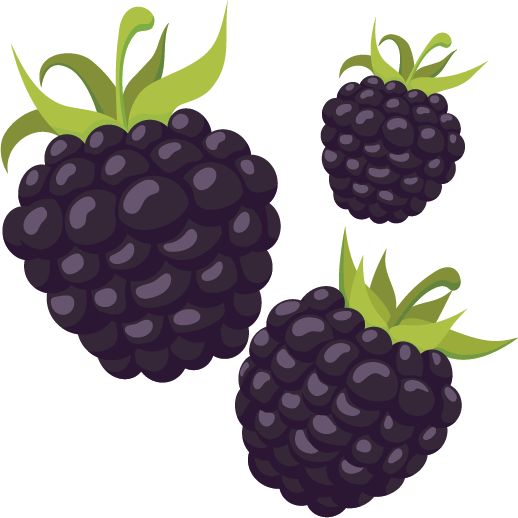 flashcard-fruit-vegetable-Blackberry - Mommy & Me Station