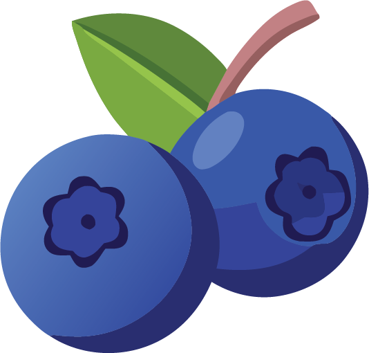 flashcard-fruit-vegetable-Blueberry - Mommy & Me Station