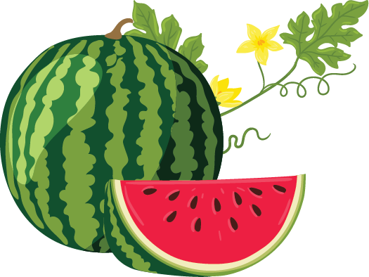 flashcard-fruit-vegetable-Watermelon - Mommy & Me Station