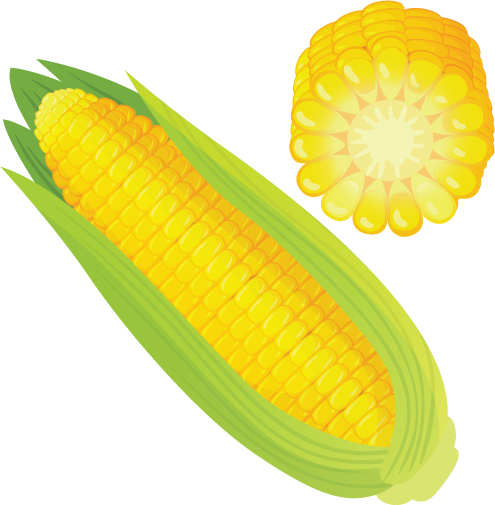 flashcard-fruit-vegetable-corn – Mommy & Me Station