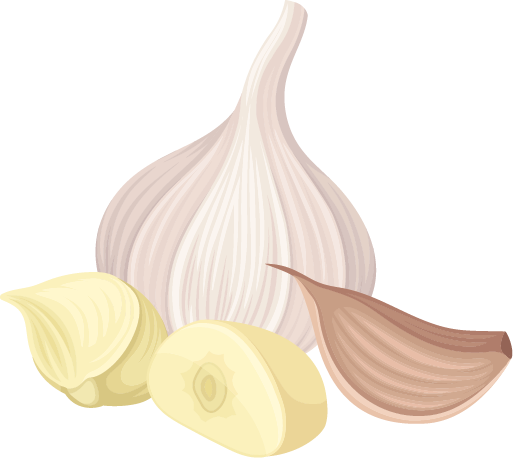 flashcard-fruit-vegetable-garlic - Mommy & Me Station
